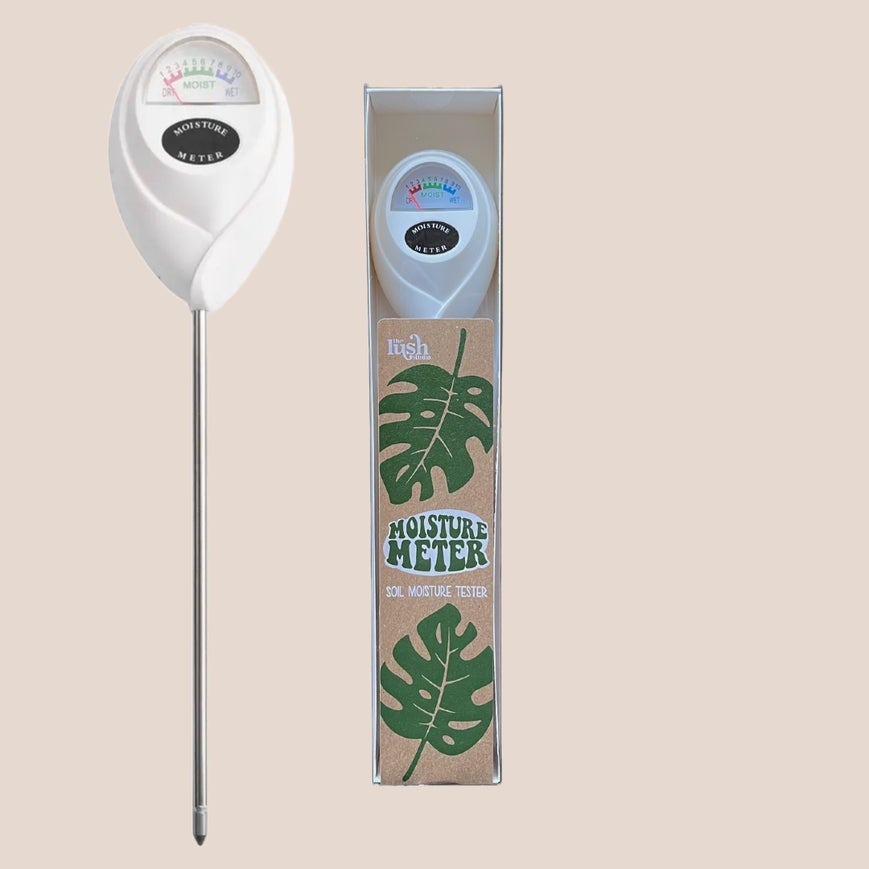 Moisture Meter | Plants Plus