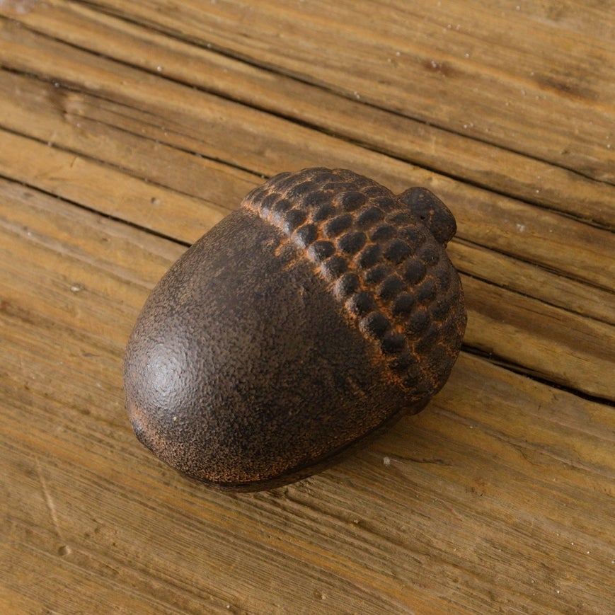 Cast Iron Acorn Trinket Box | Plants Plus