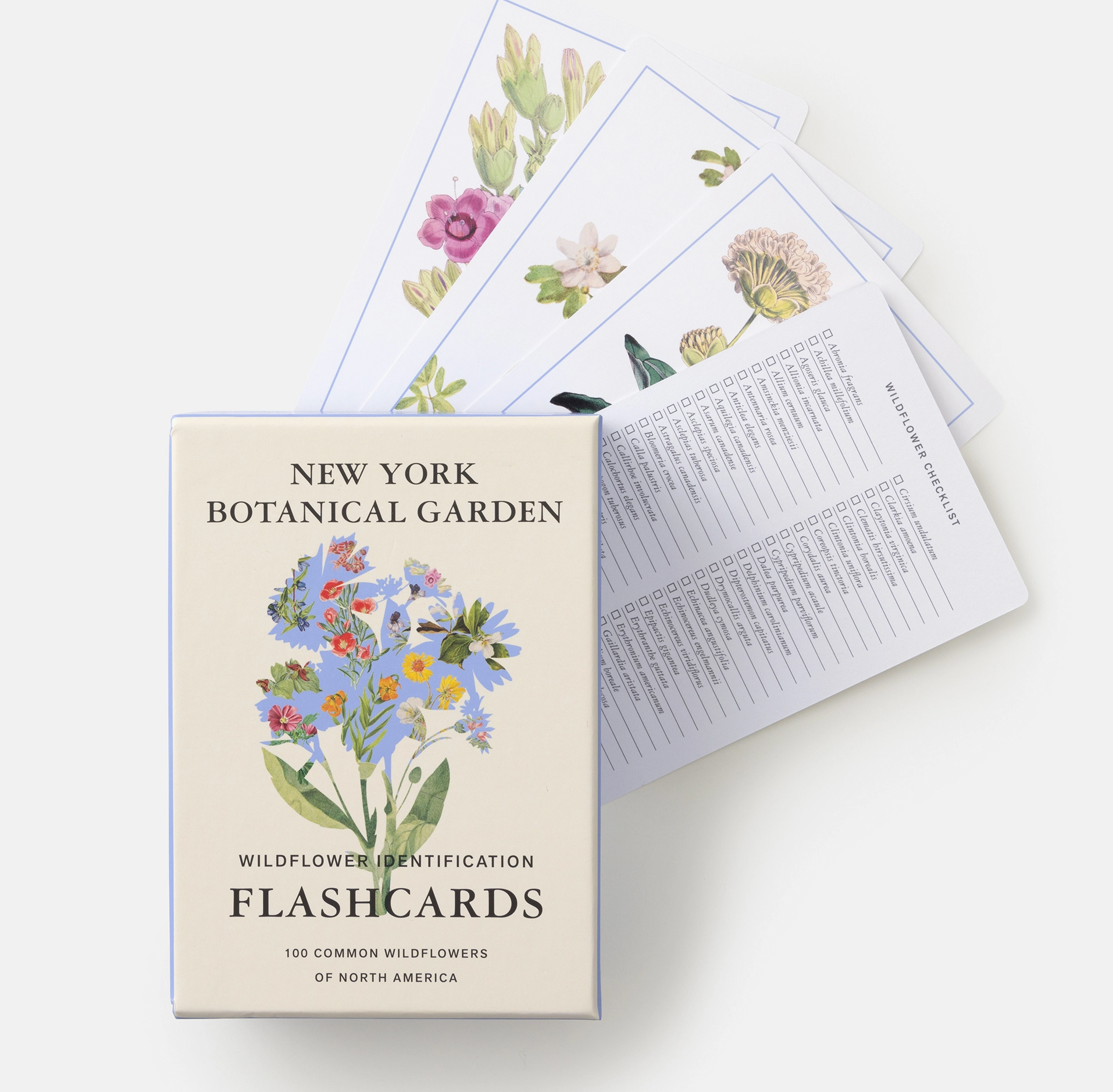 Wildflower Identification Flashcards | Plants Plus
