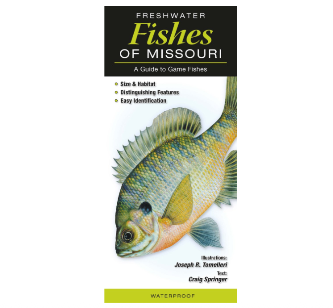 Freshwater Fishes of Missouri Guide | Plants Plus