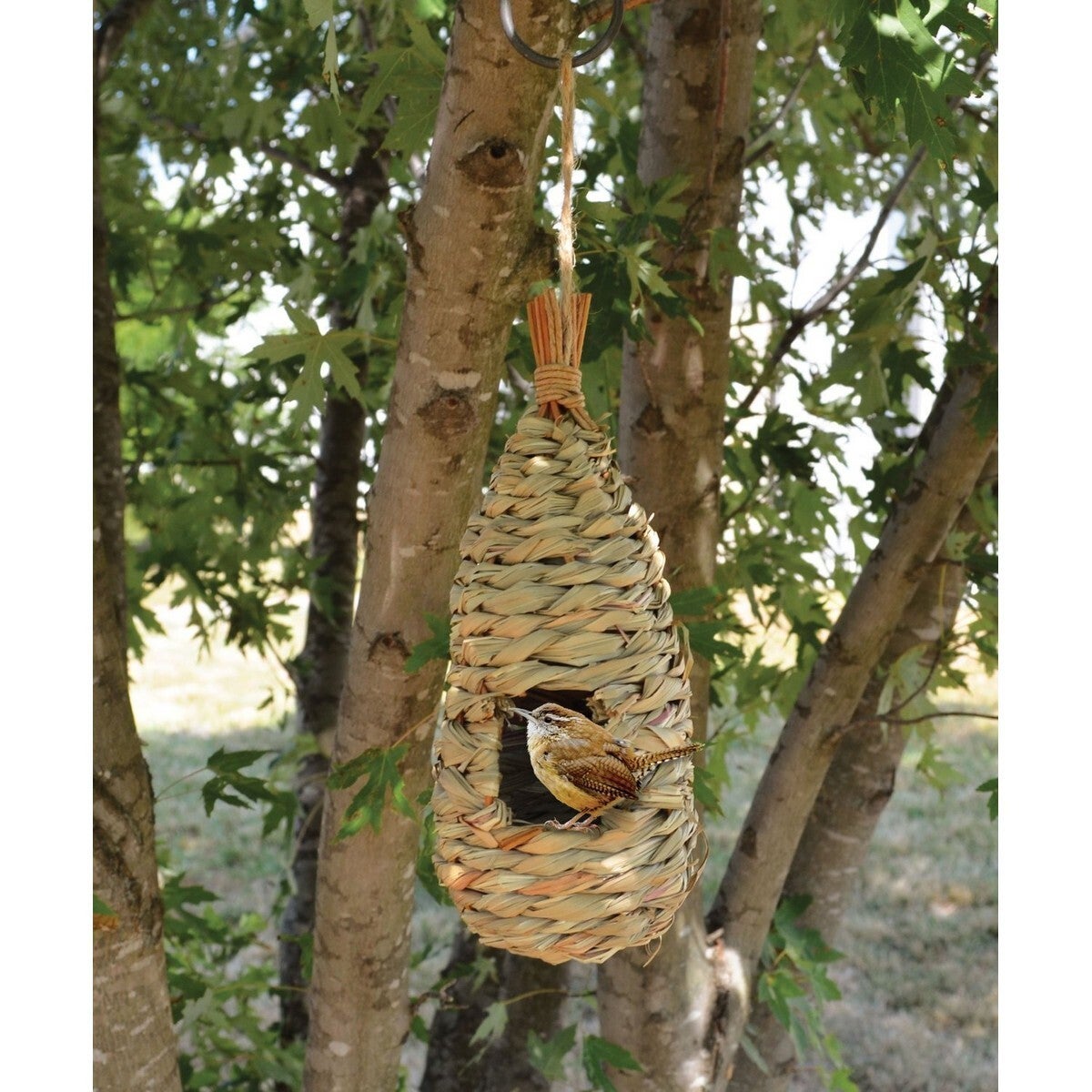 Hanging Grass Roosting Pocket | Plants Plus