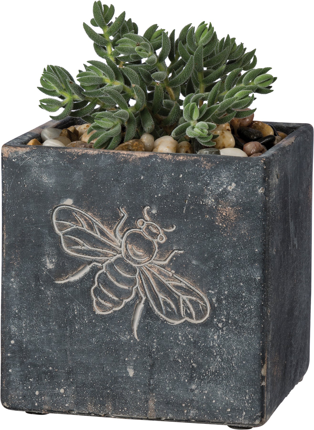 Cement Bee Planter | Plants Plus