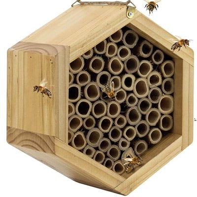 Hexagon Bee House | Plants Plus