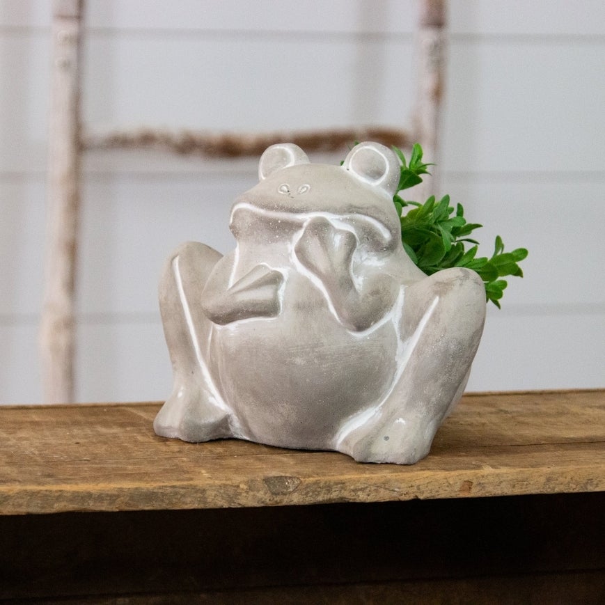 Cement Frog Planter | Plants Plus