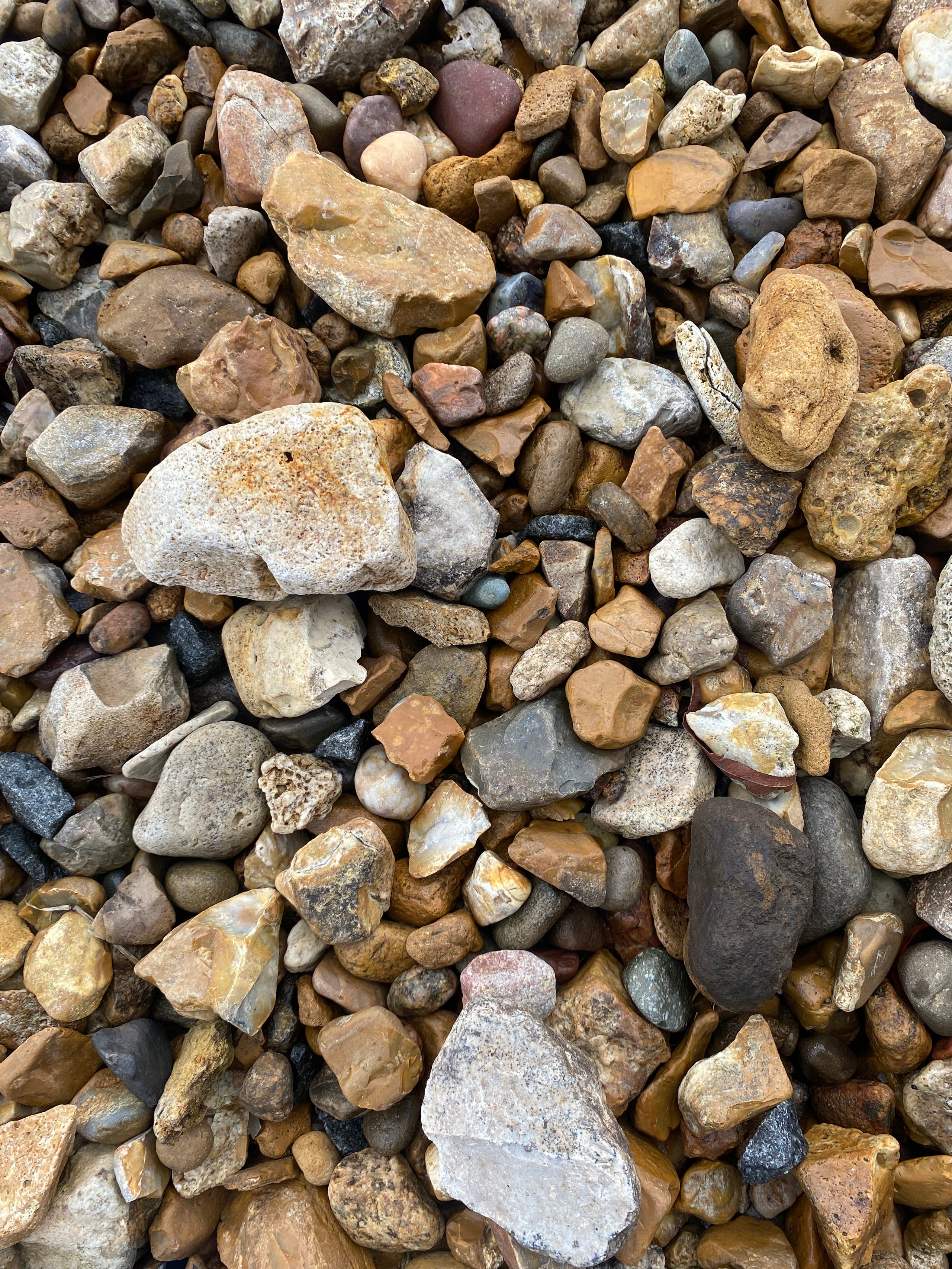 Large River Rock | Plants Plus