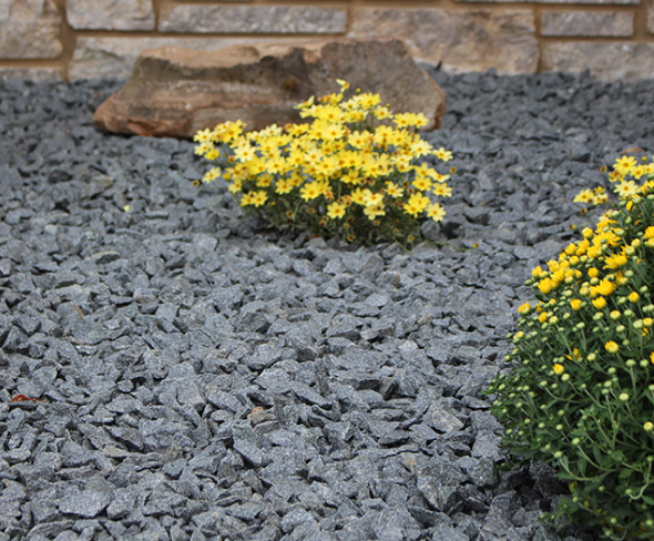 3/4 Inch Trap Rock | Plants Plus